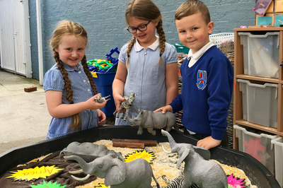 Whiston Willis Primary Academy - Home